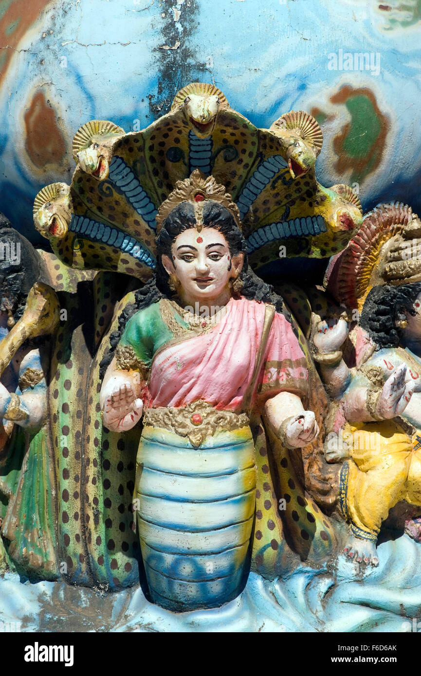 Tulsi vrindavan hi-res stock photography and images - Alamy