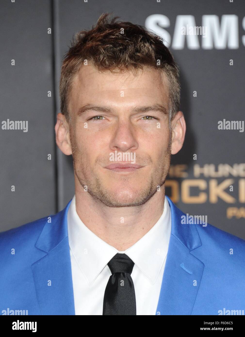 Los Angeles, CA, USA. 16th Nov, 2015. Alan Richson at arrivals for THE ...