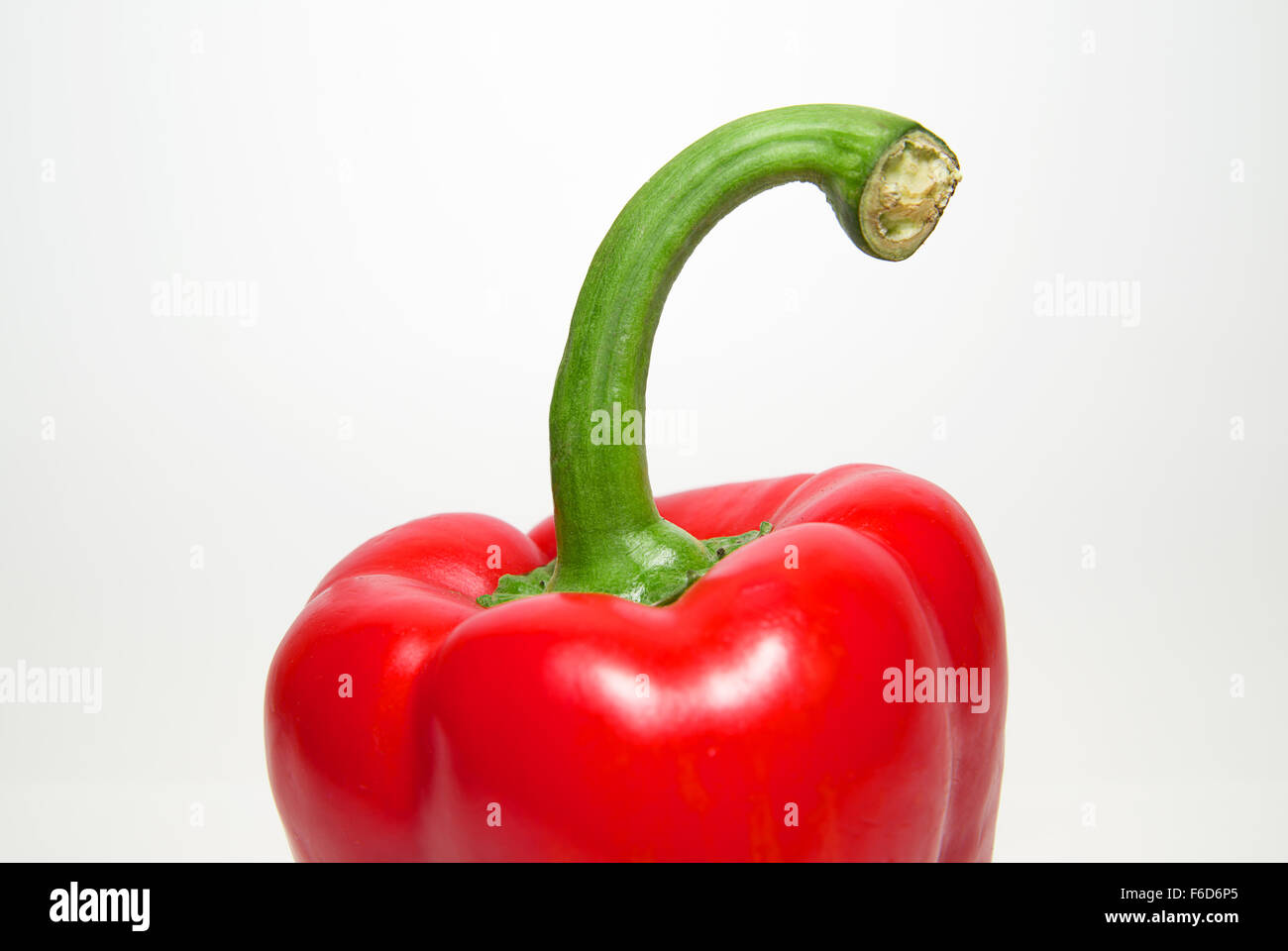 One red pepper on a white background Stock Photo - Alamy