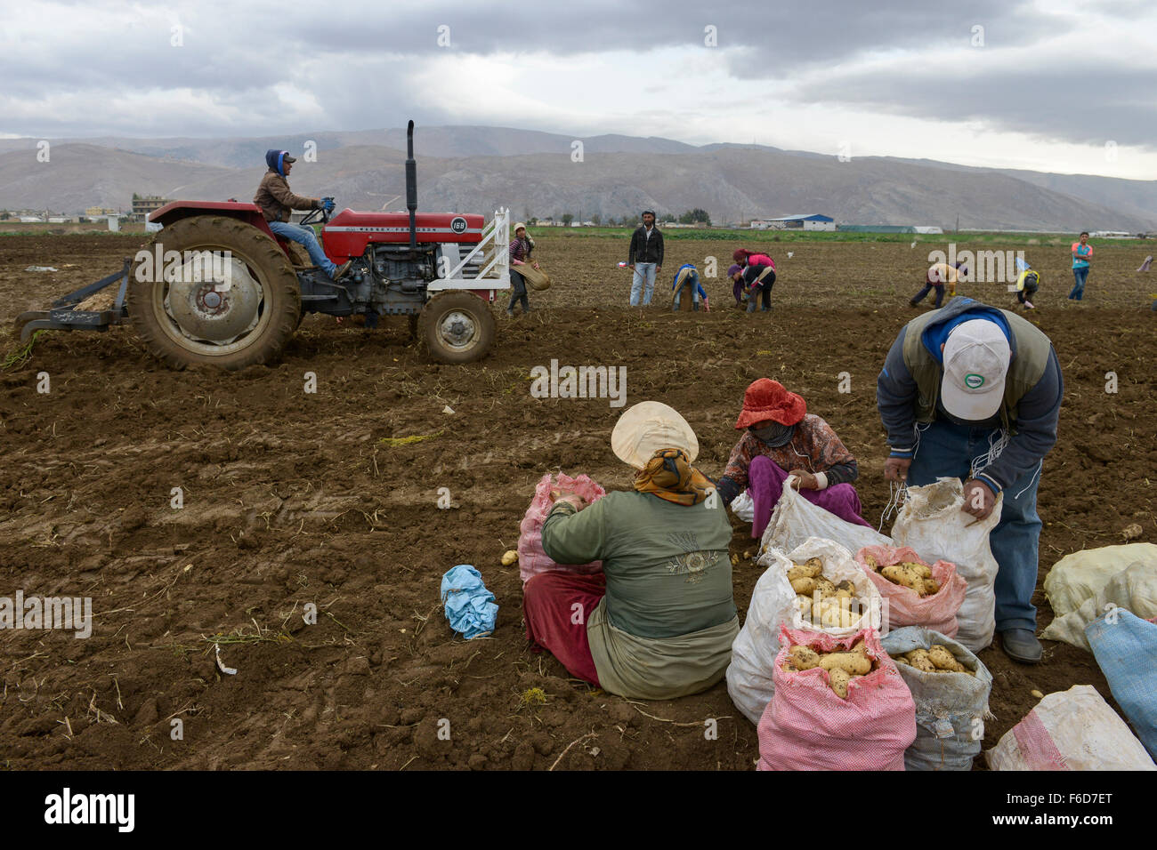 Syrian refugees lebanon farm hi-res stock photography and images - Alamy