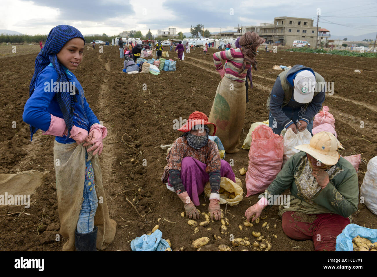 Potato war hi-res stock photography and images - Alamy