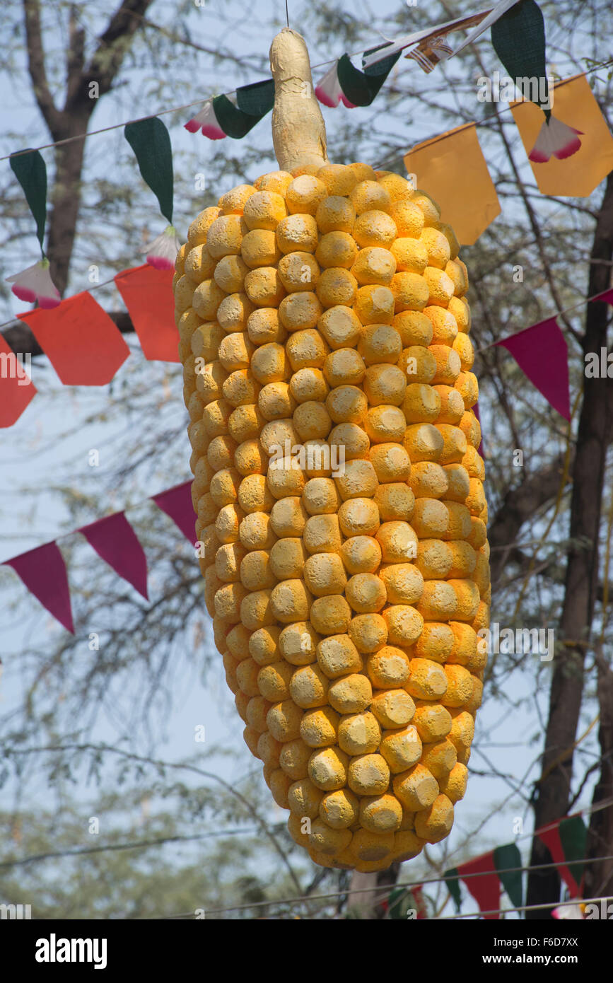Hanging indian corn hi-res stock photography and images - Alamy