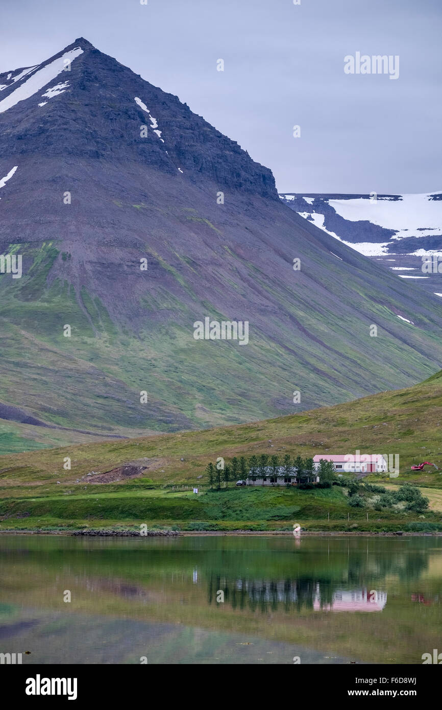 Fjord ecosystem hi-res stock photography and images - Alamy