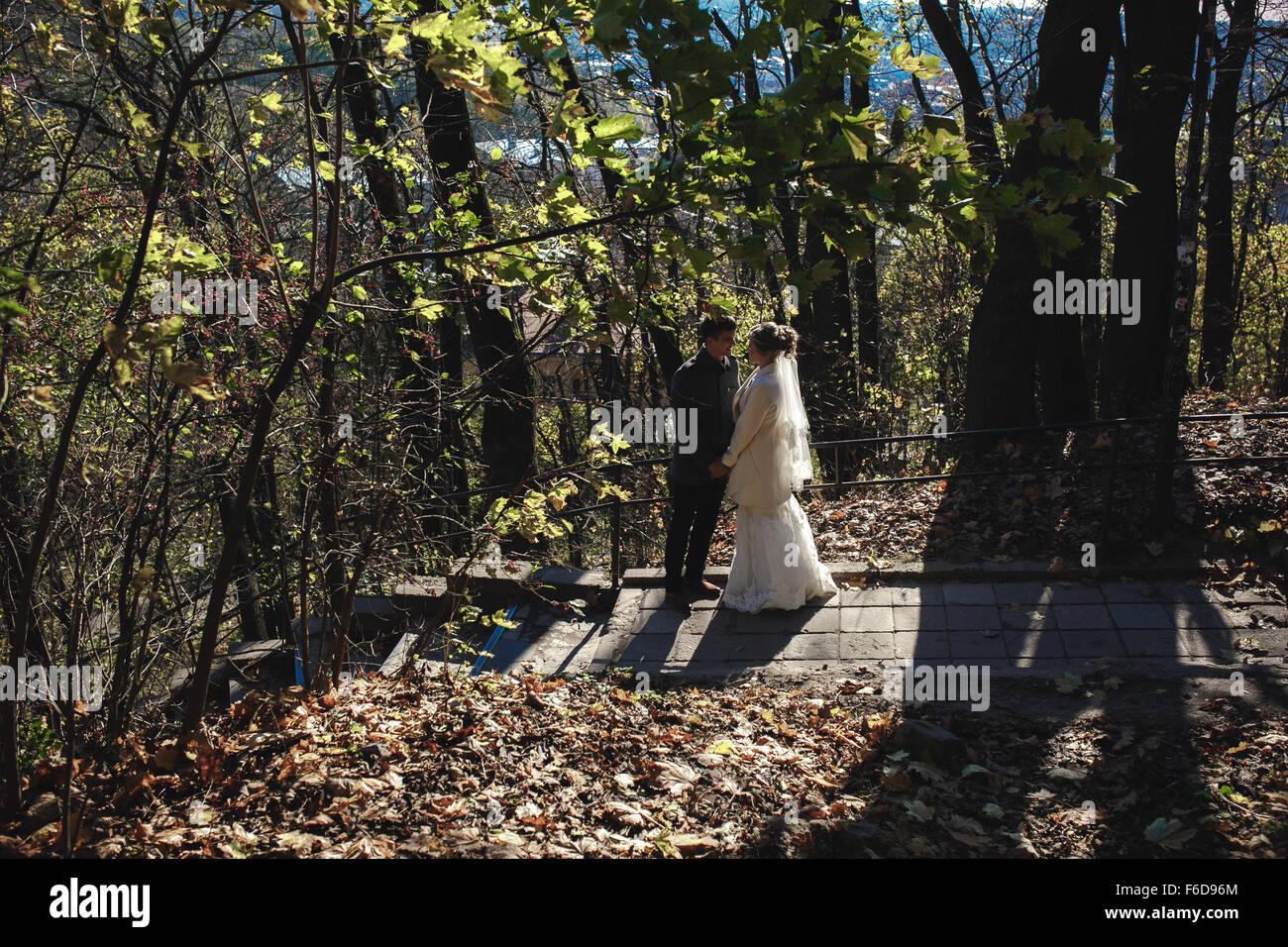 Bride hugs groom Stock Photo - Alamy