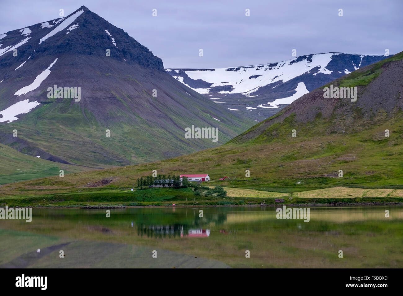 Fjord ecosystem hi-res stock photography and images - Alamy
