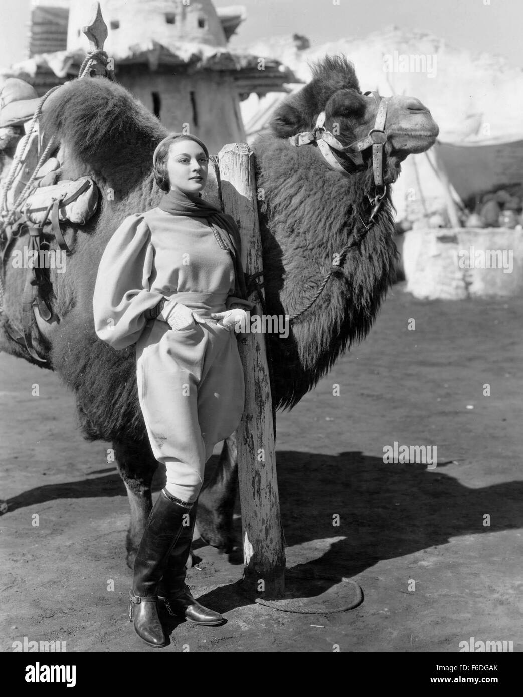 Lives of a bengal lancer hi-res stock photography and images - Alamy