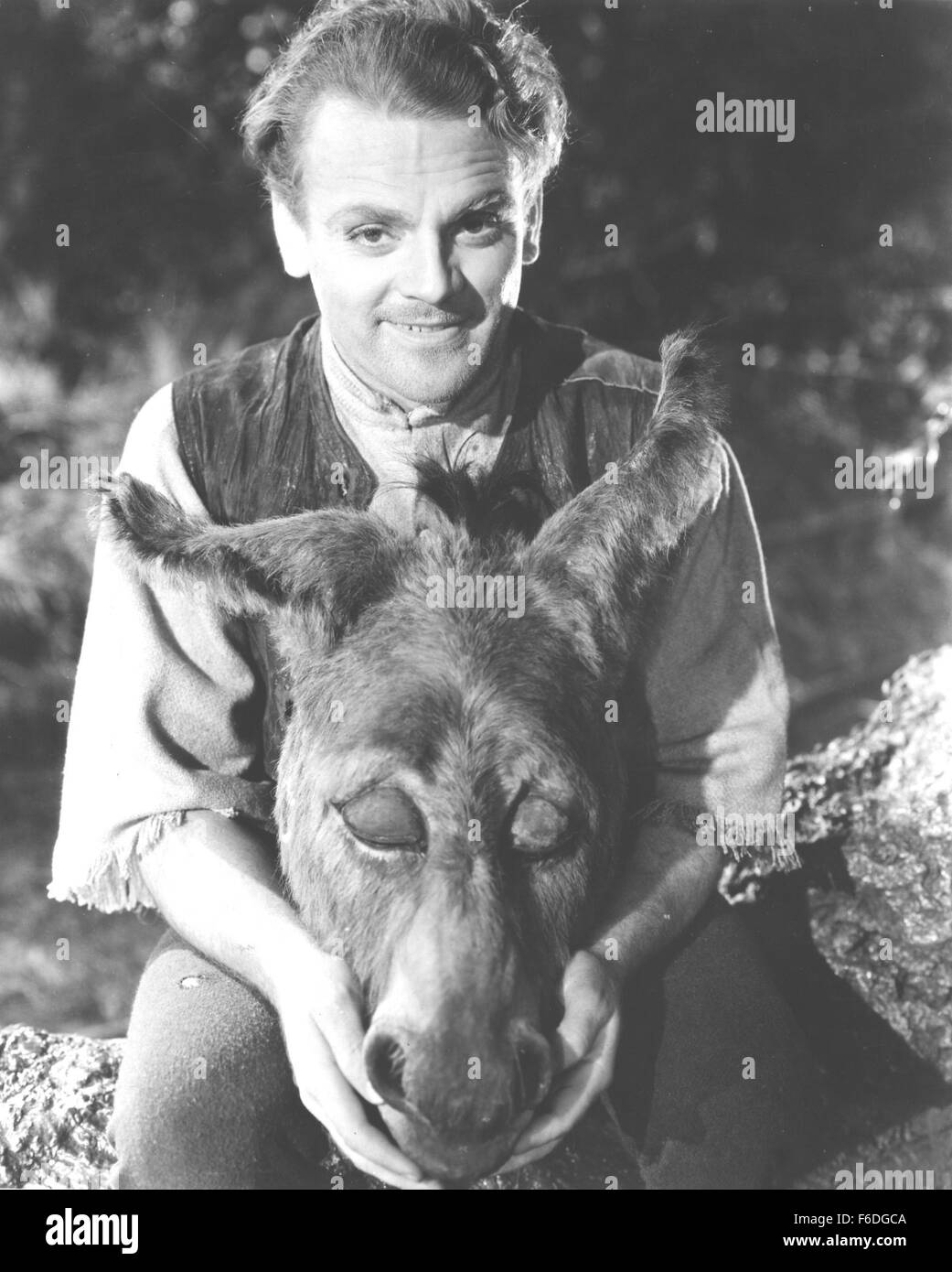 Lysander midsummer hi-res stock photography and images - Alamy