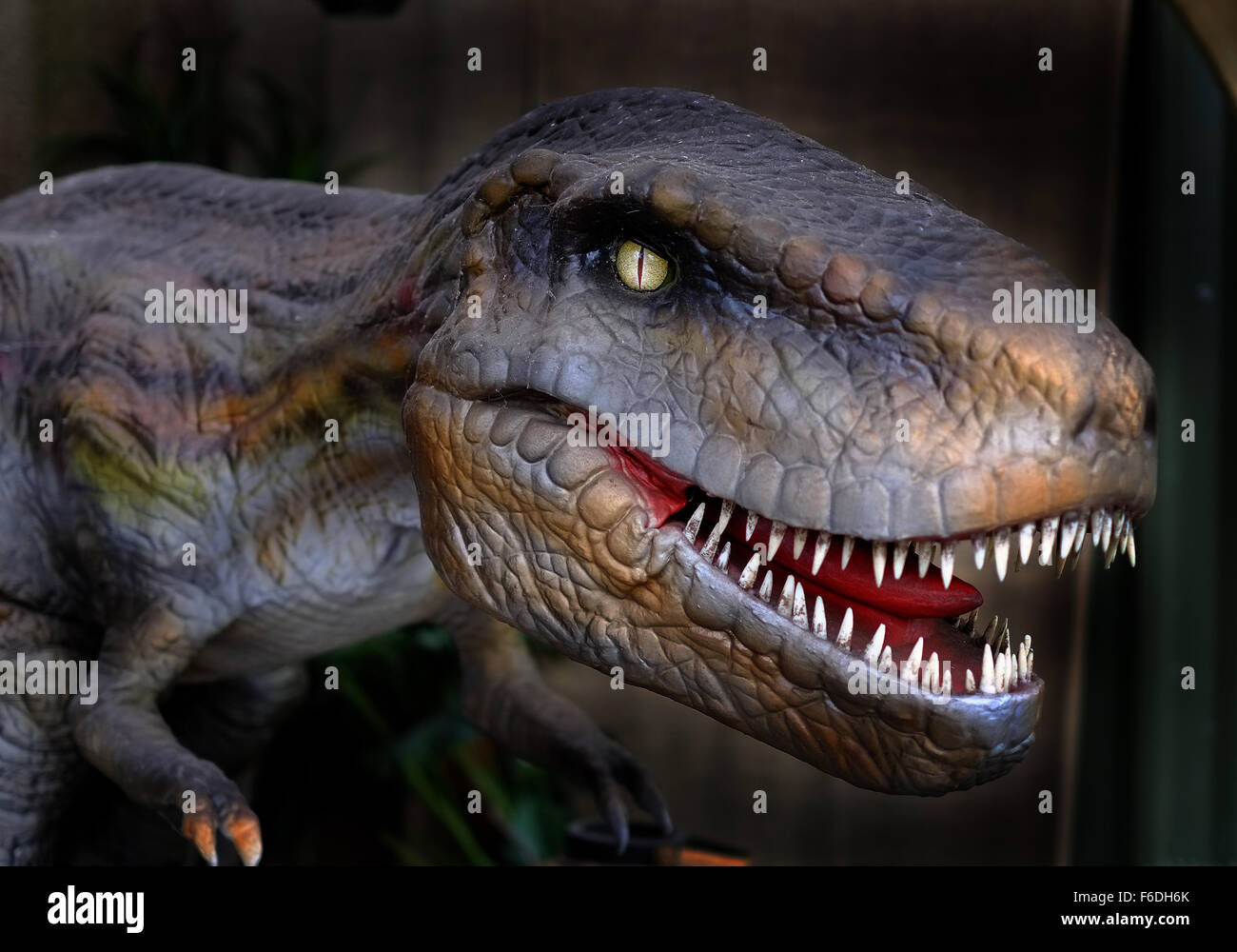 Plastic Tyrannosaurus Rex dinosaur in shop display Stock Photo - Alamy