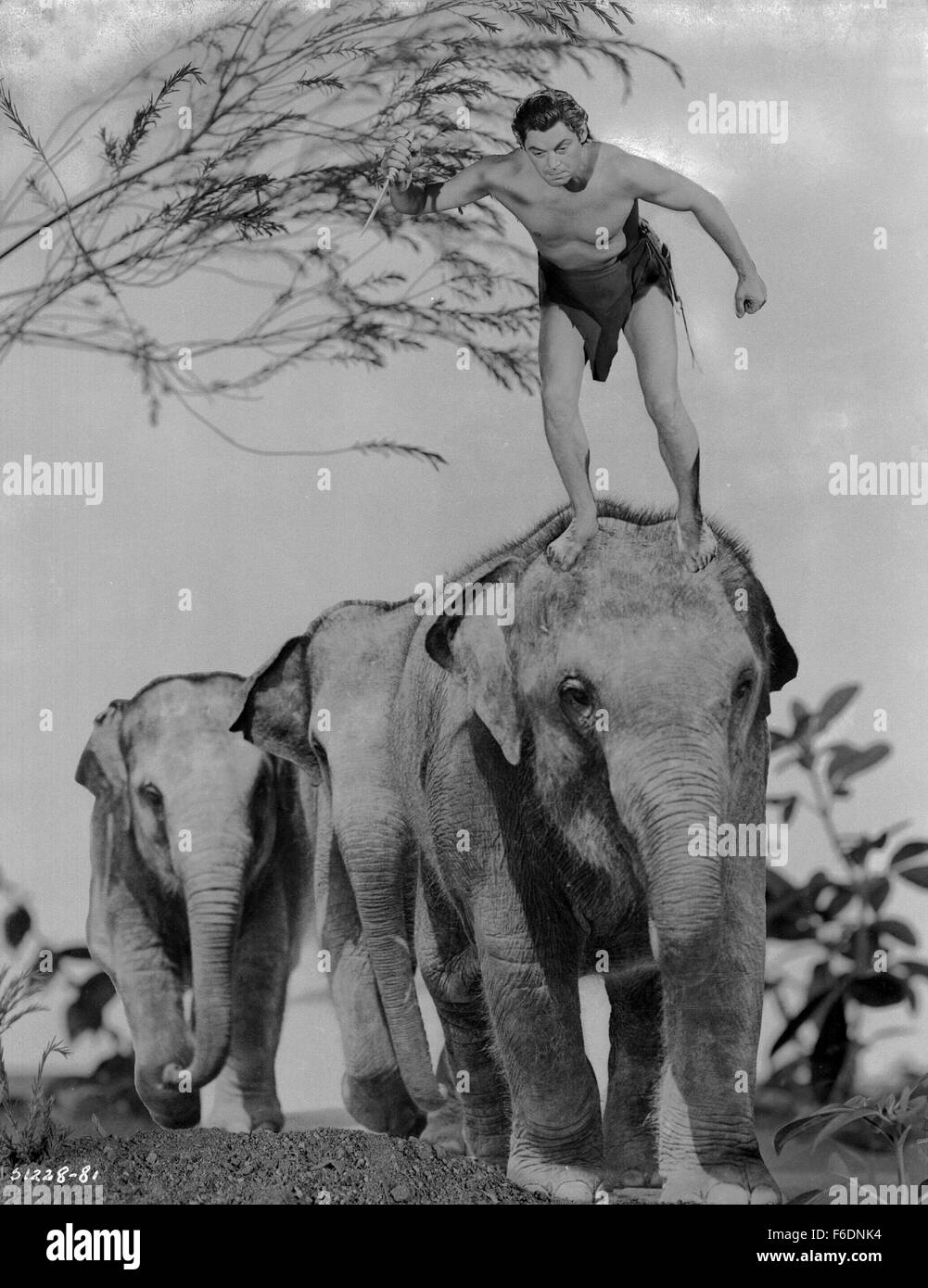 RELEASED: May 1, 1942 - Original Film Title: Tarzan's New York ...