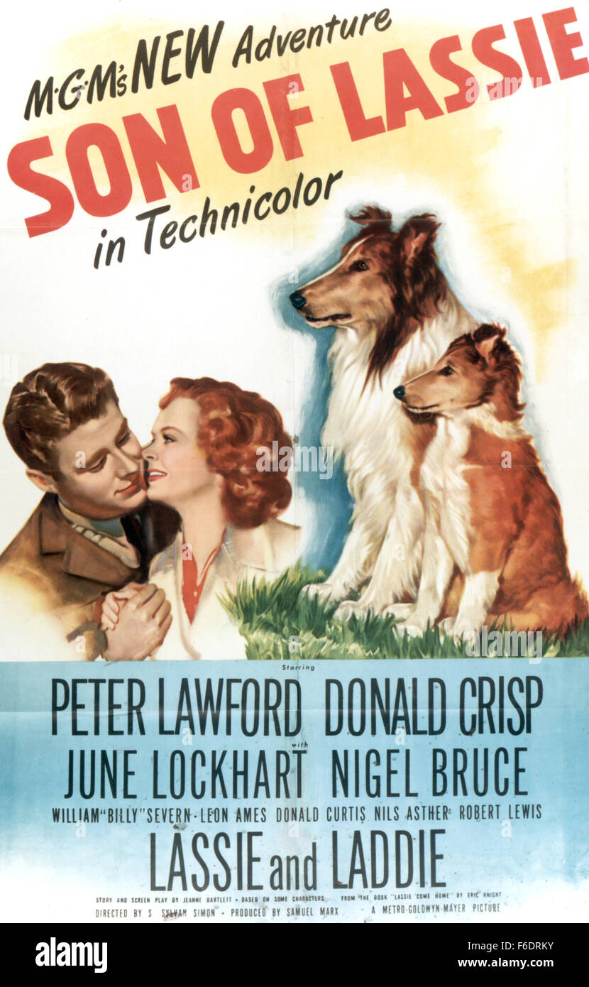 June lockhart hi-res stock photography and images - Alamy