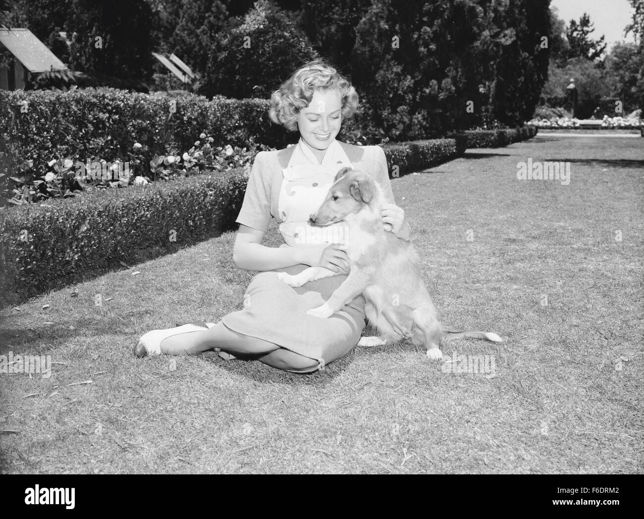 June lockhart hi-res stock photography and images - Alamy