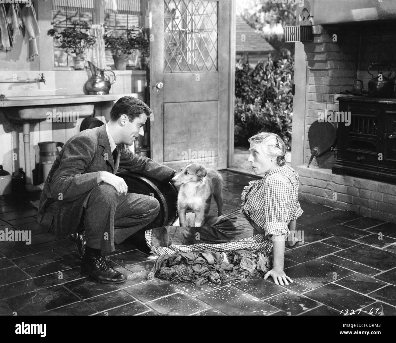 RELEASE DATE: April 20, 1945. MOVIE TITLE: Son of Lassie. STUDIO: Metro ...