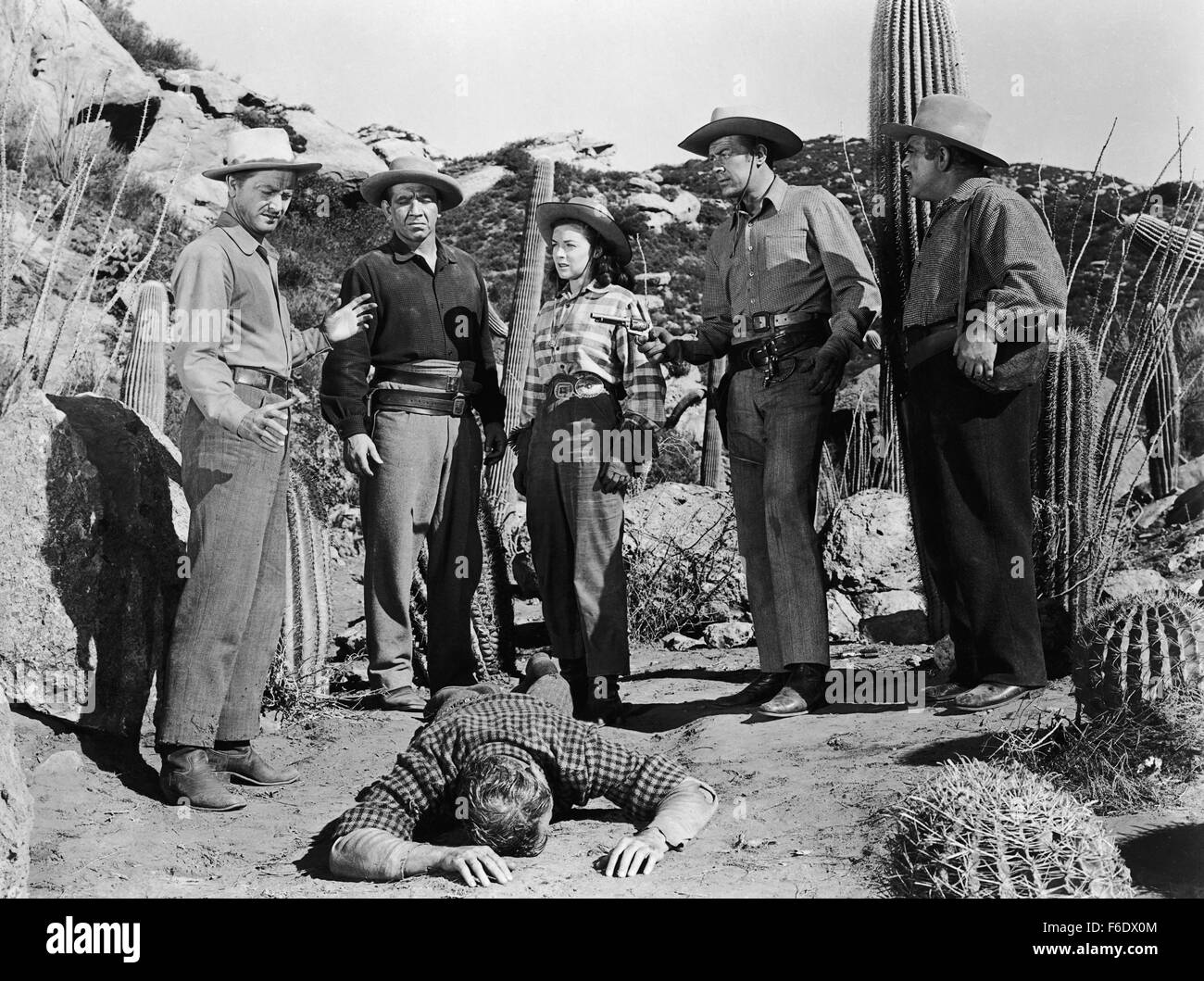 Relentless original hi-res stock photography and images - Alamy