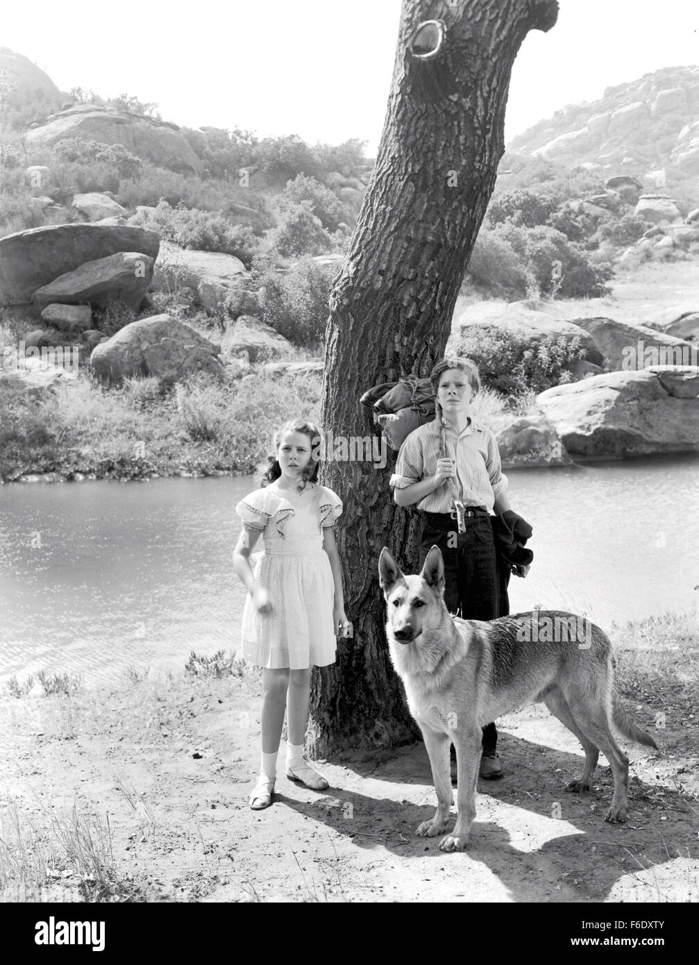 RELEASED: September 25, 1944 - Original Film Title: My Pal Wolf ...