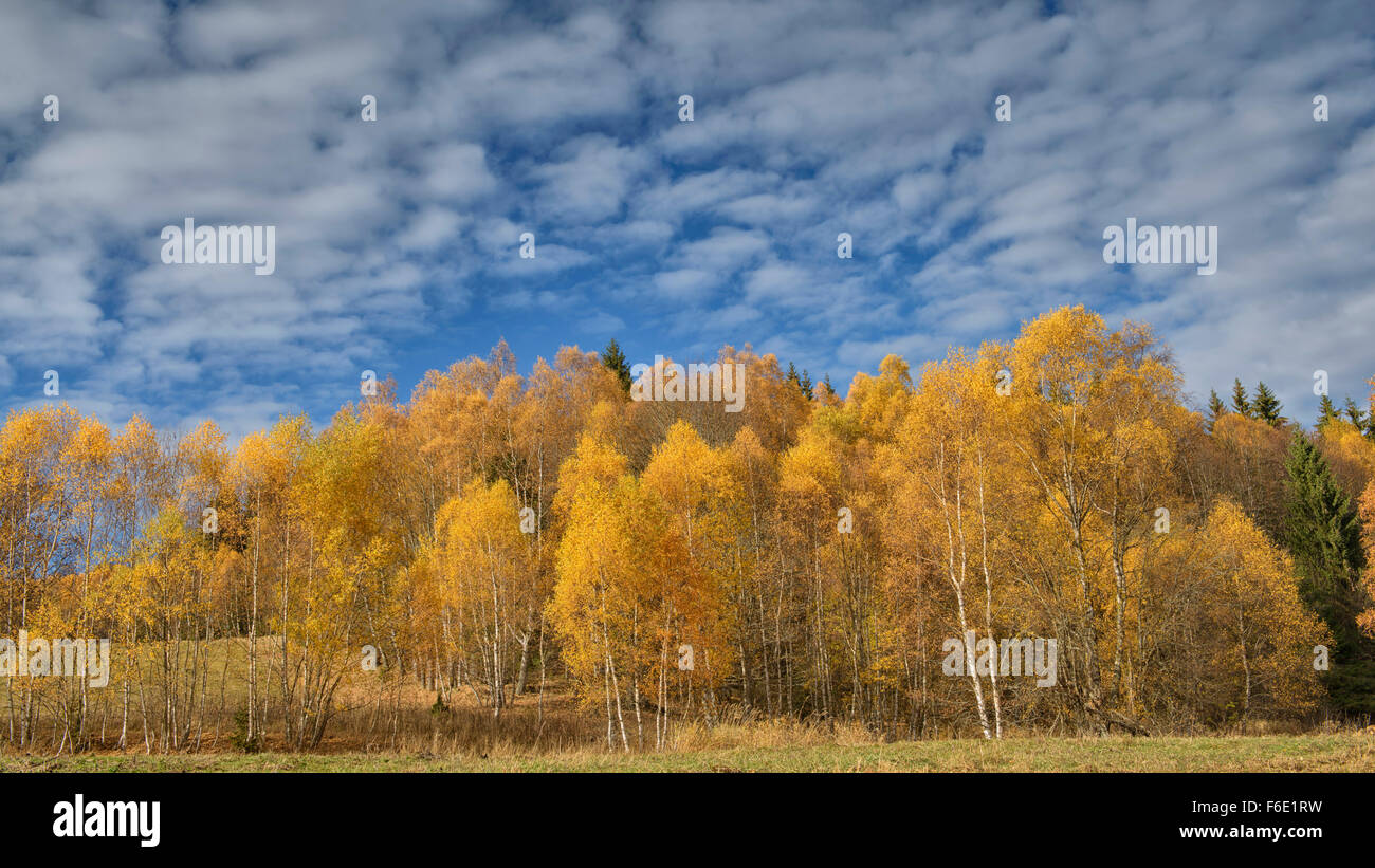 Sumava national park hi-res stock photography and images - Alamy
