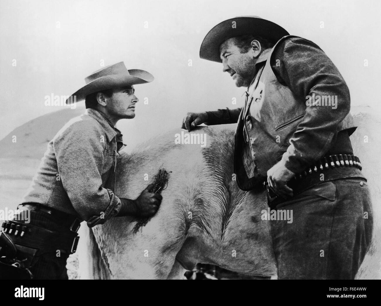 Western Posse Stock Photos & Western Posse Stock Images - Alamy