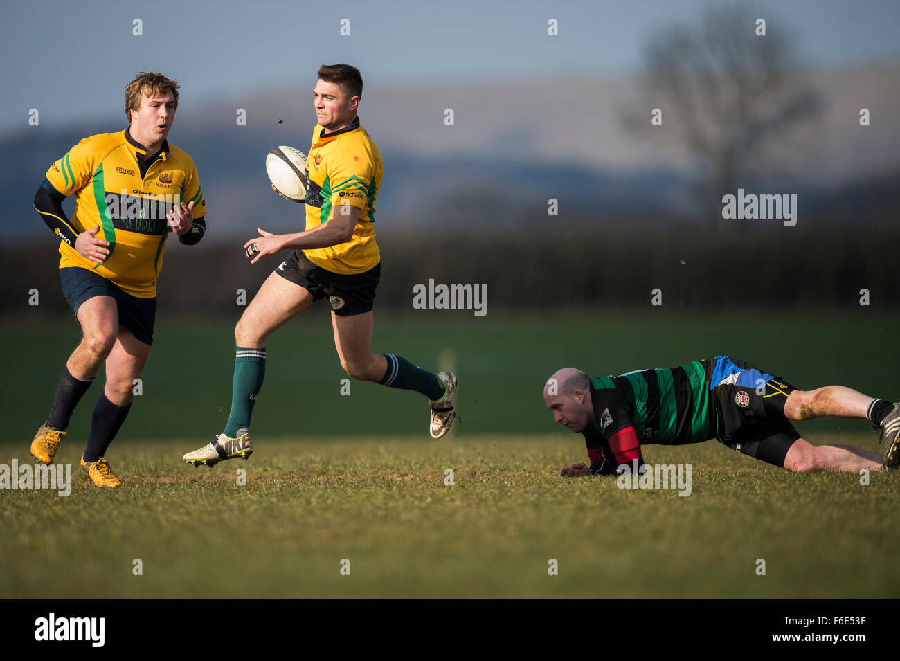 Rugby players in action Stock Photo - Alamy