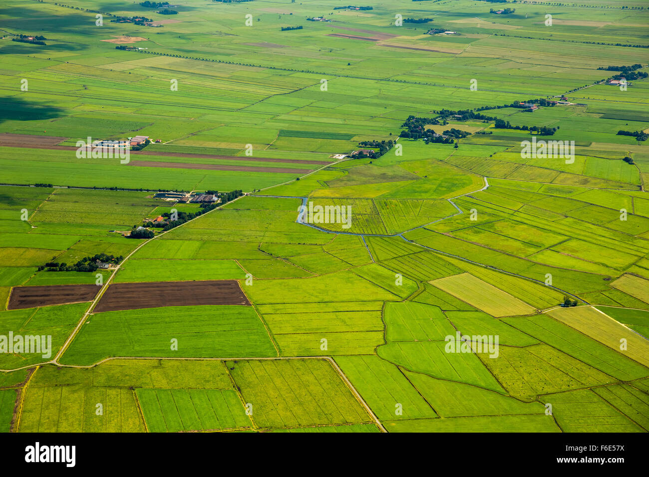Fields, polder, drainage ditches in marsh areas, green landscape, Bunde ...