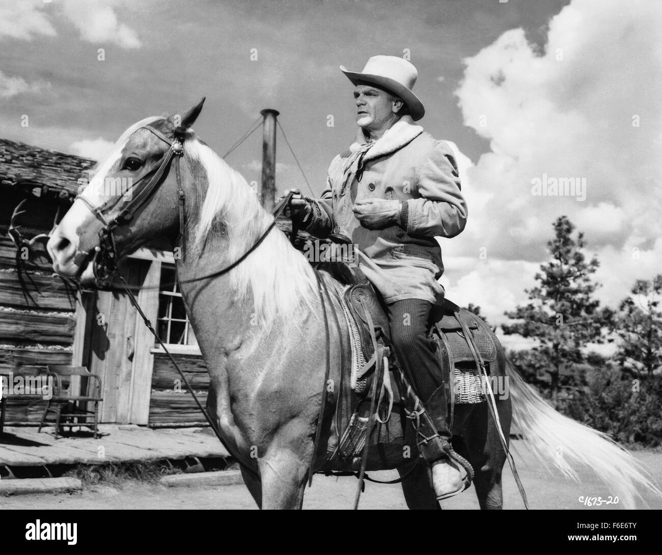 RELEASE DATE: March 30, 1956. MOVIE TITLE: Tribute to a Bad Man. STUDIO ...