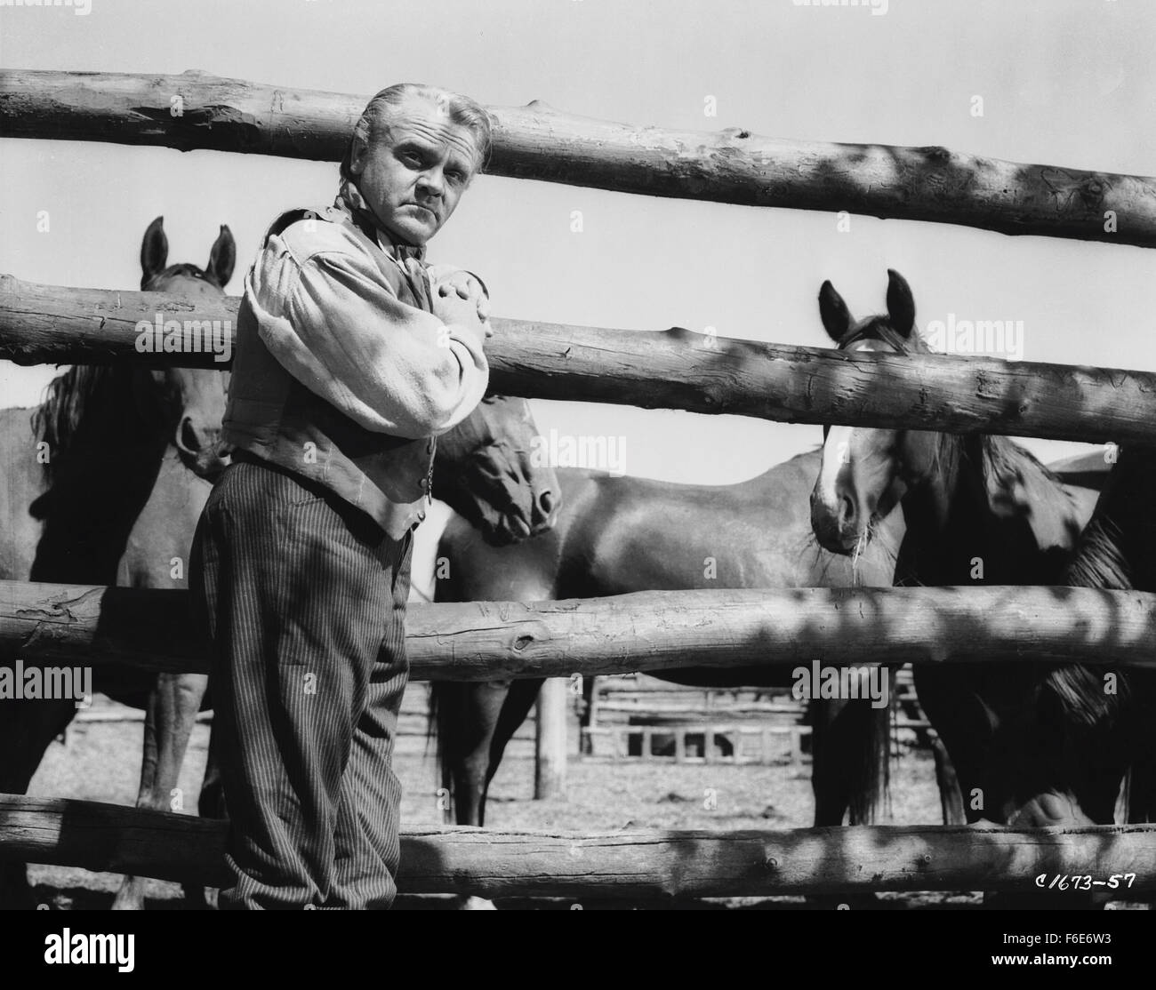RELEASE DATE: March 30, 1956. MOVIE TITLE: Tribute to a Bad Man. STUDIO ...