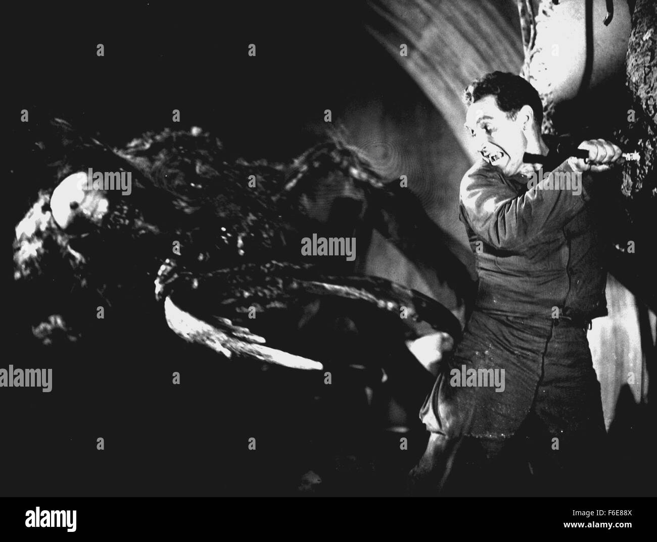 RELEASE DATE: June 1954. MOVIE TITLE: Them. STUDIO: Warner Bros ...