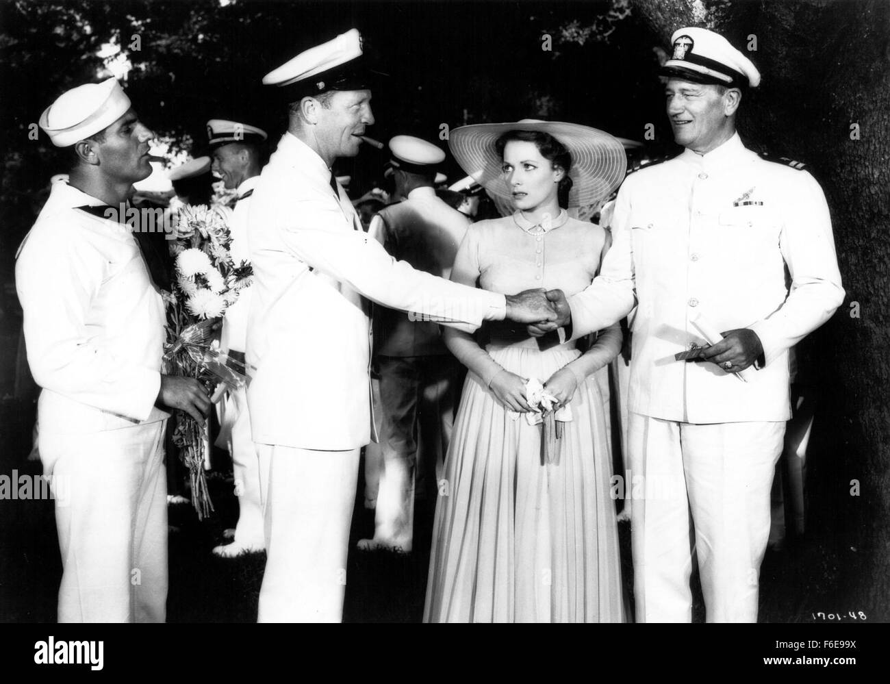 Wead hi-res stock photography and images - Alamy