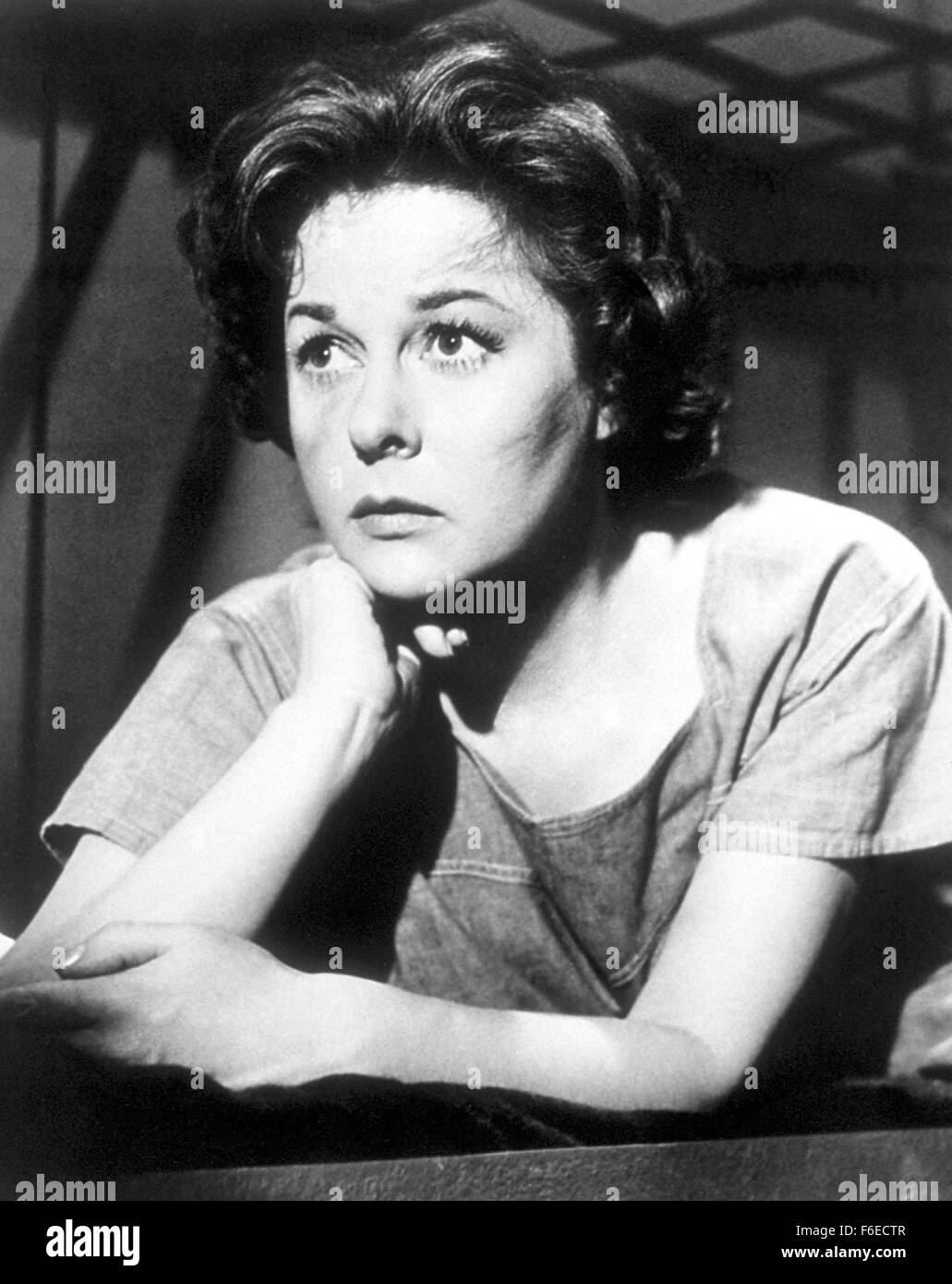 Barbara Graham's Instagram, Twitter & Facebook on IDCrawl