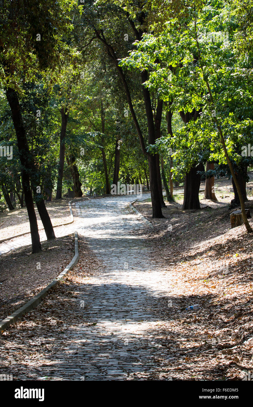 Wooded places hi-res stock photography and images - Alamy
