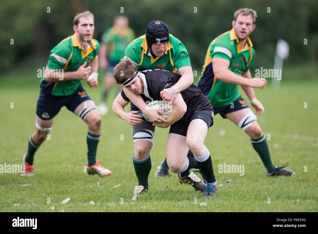 Wimborne rugby player hi-res stock photography and images - Alamy