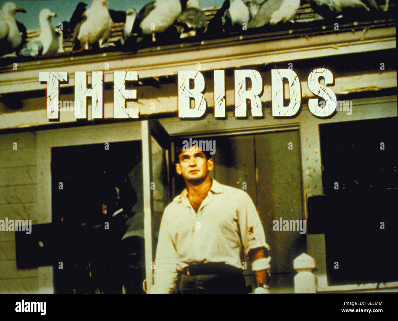 Mar 28, 1963; Los Angeles, CA, USA; Actor ROD TAYLOR stars as Mitch ...