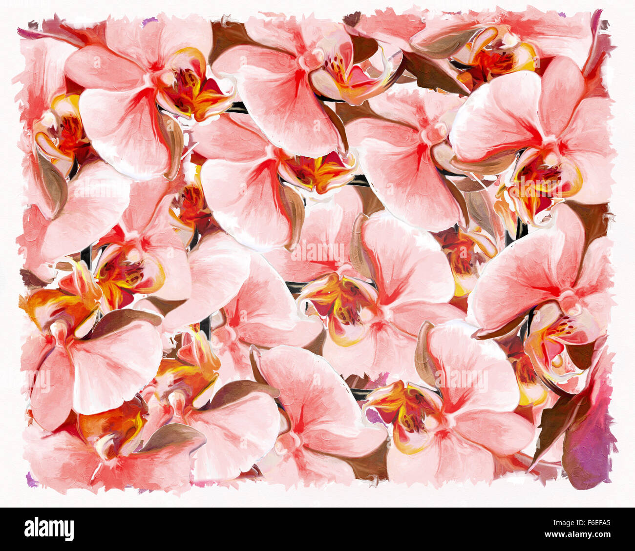 background or texture of colored orchid Stock Photo - Alamy