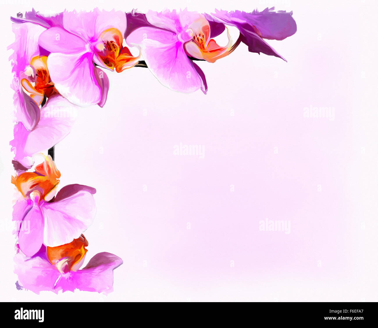 frame of pink orchid with copy space Stock Photo - Alamy