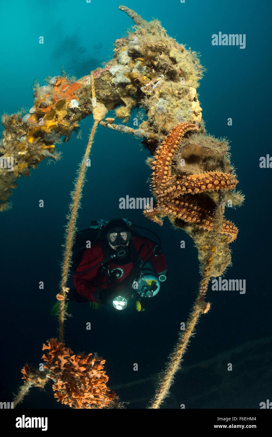 Diver on 60 meter deep SS Vis Wreck, Istrien, Croatia Stock Photo - Alamy