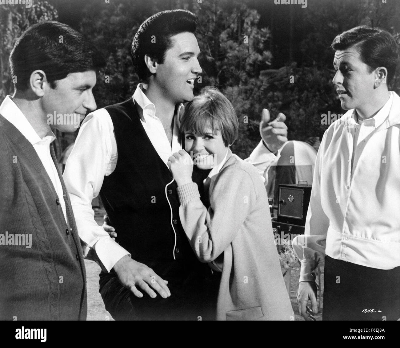 Spinout 1966 High Resolution Stock Photography and Images - Alamy