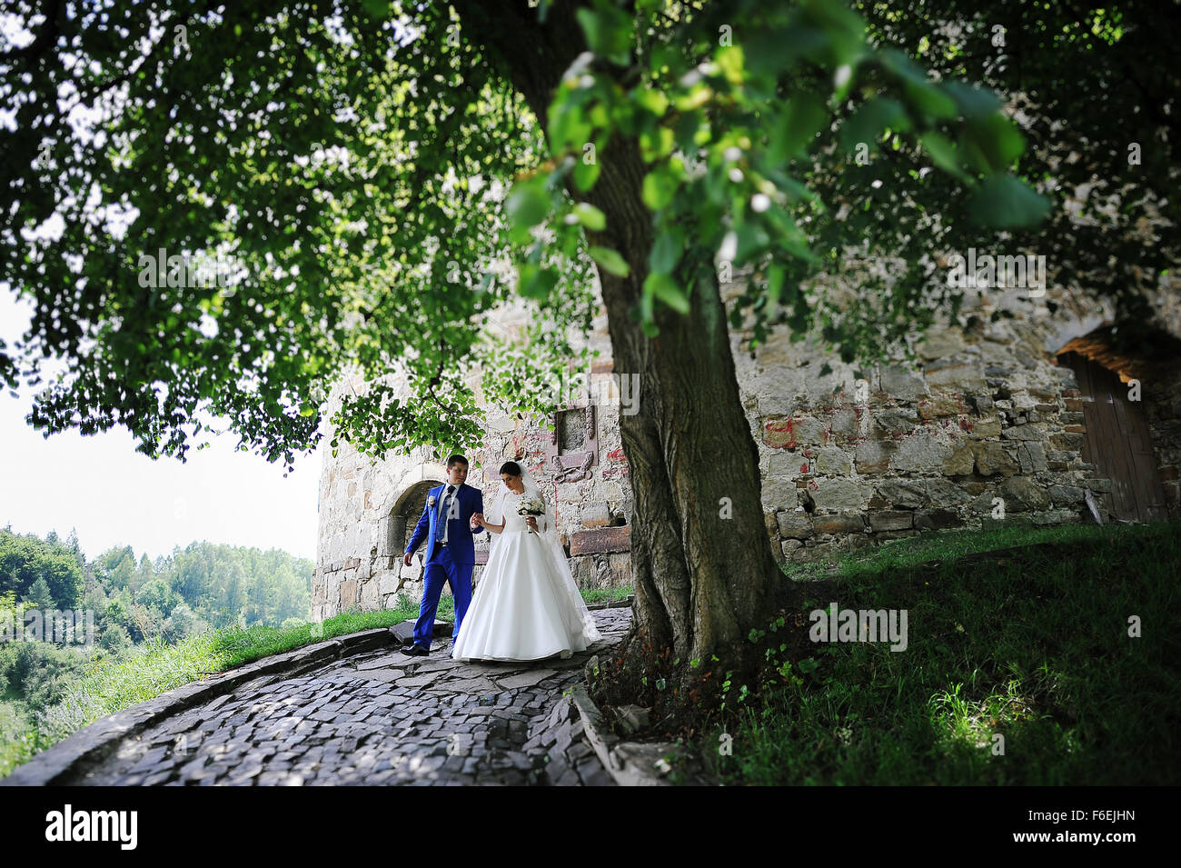 wedding couple under tree Stock Photo - Alamy