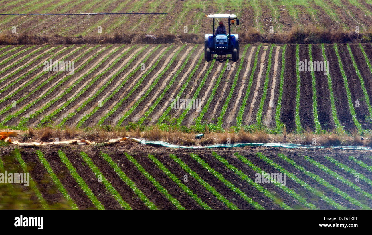 Tractor turning the land in Izmir Stock Photo - Alamy