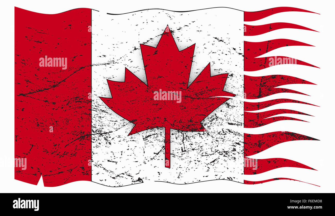 A wavy and grunged Canadian flag design isolated on a white background ...