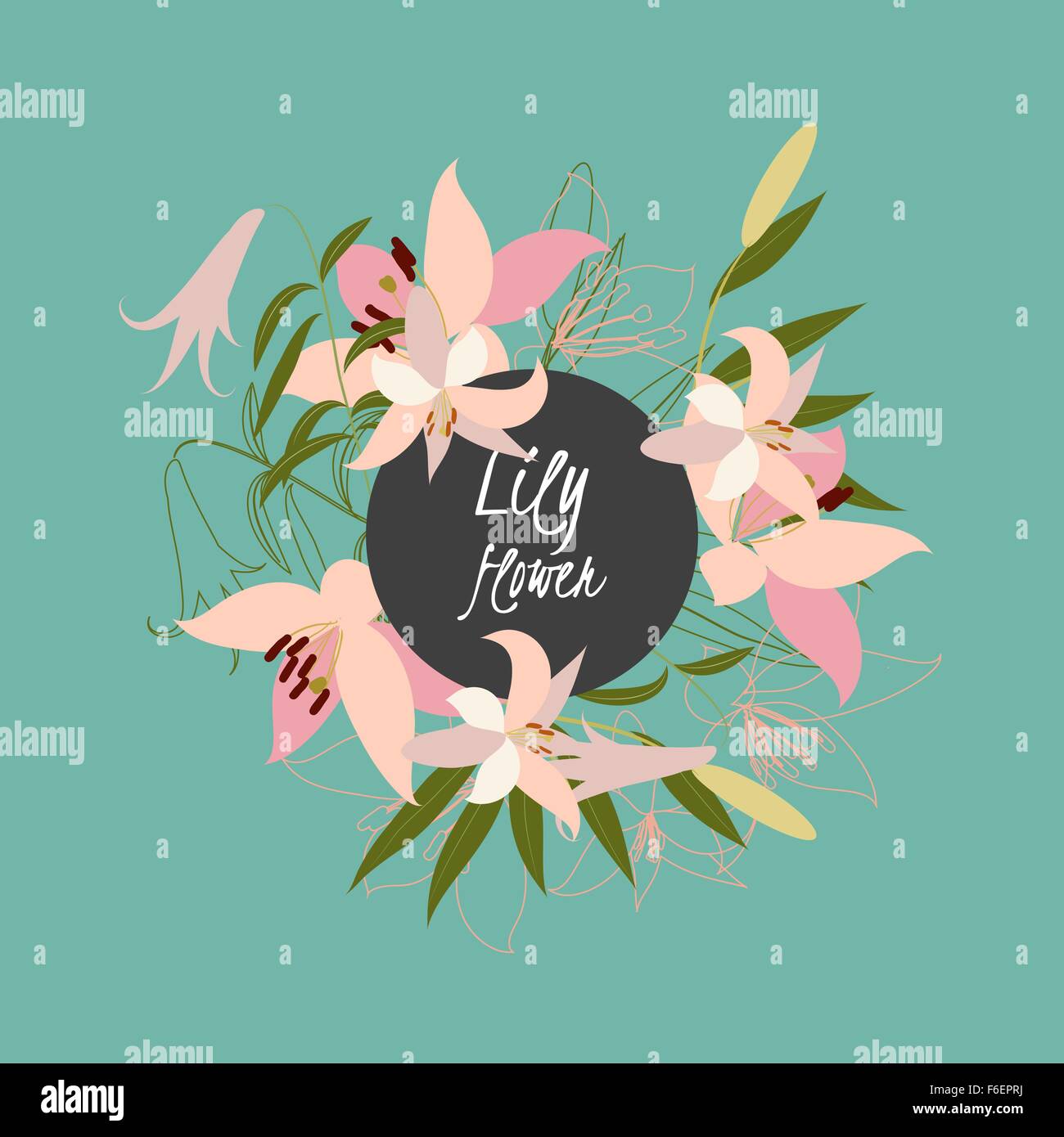 Lily with green background Stock Vector Images - Alamy