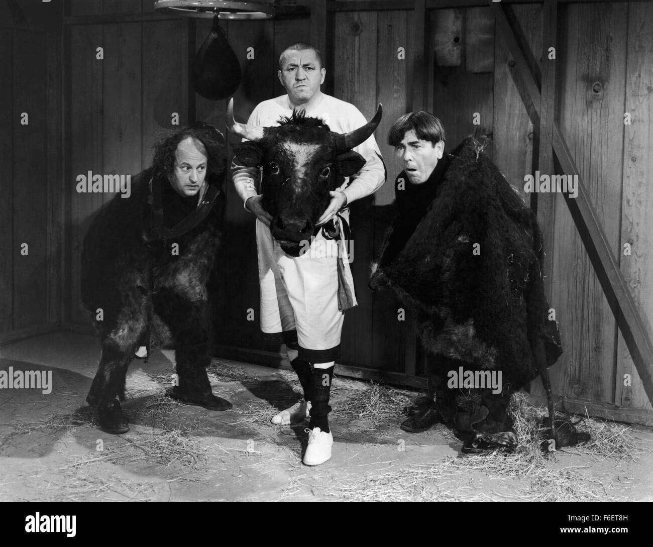 Moe the three stooges Black and White Stock Photos & Images - Alamy