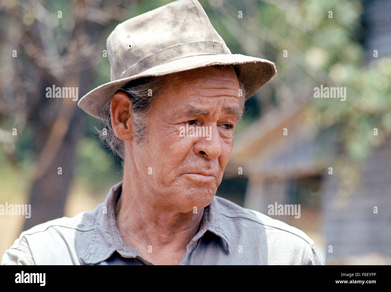 RELEASE DATE: February 21, 1973. MOVIE TITLE: Lolly Madonna XXX. STUDIO ...