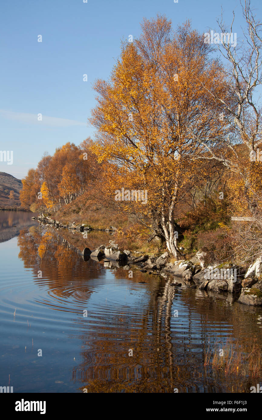 Area of Loch Ness, Scotland. Picturesque autumnal view of Loch Tarff ...