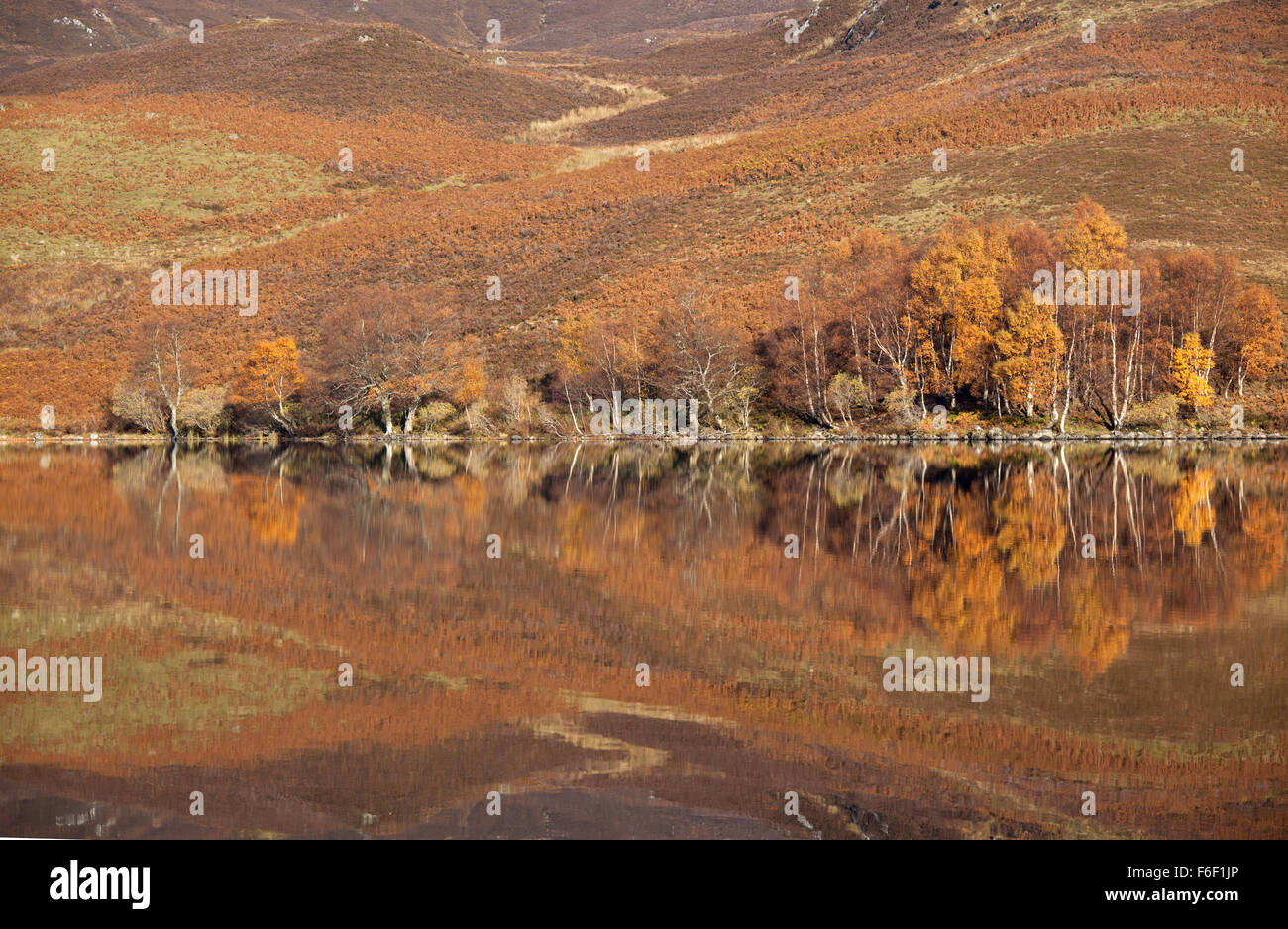 Area of Loch Ness, Scotland. Picturesque autumnal view of Loch Tarff ...