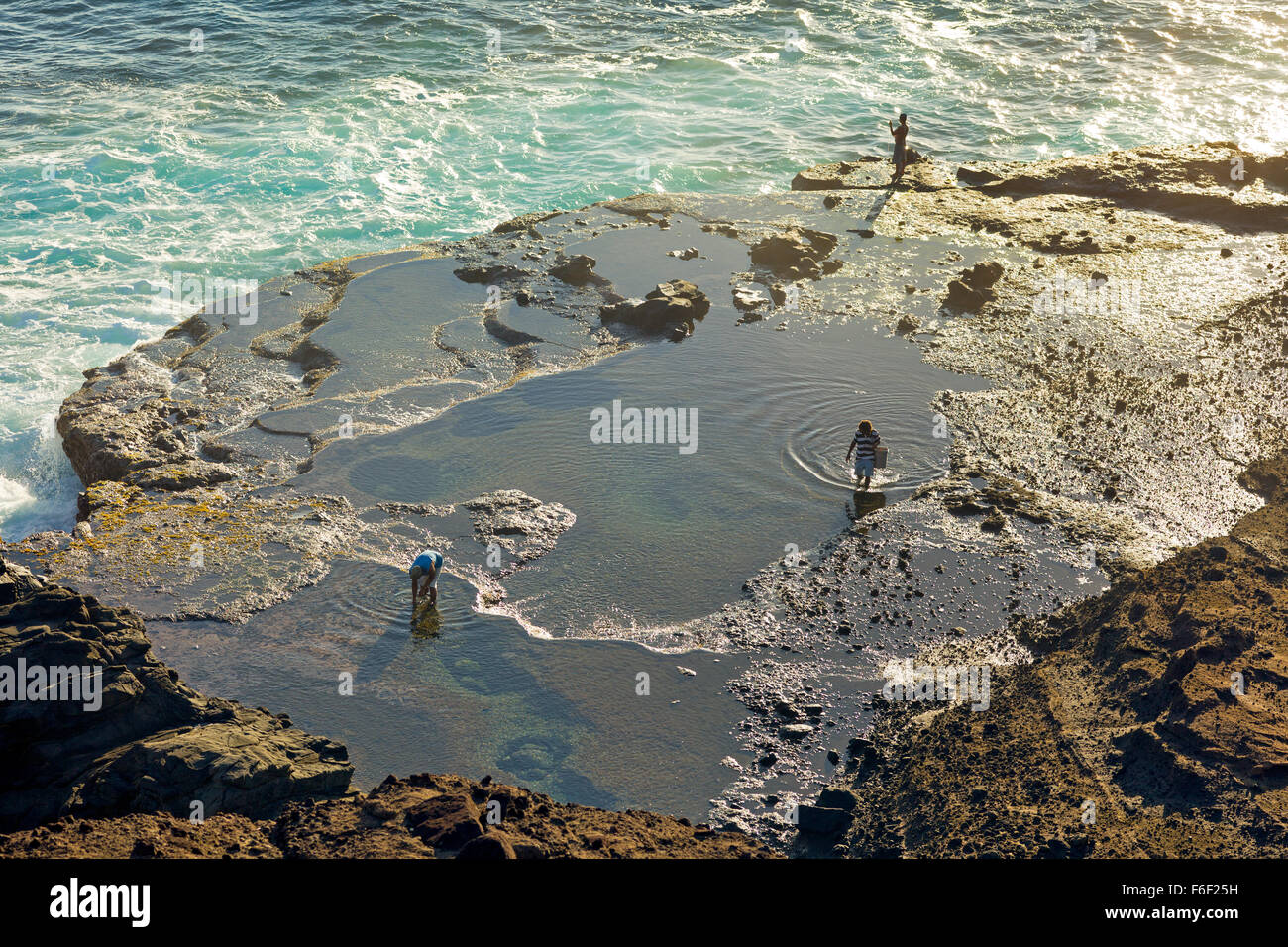 Local people collecting shells and crabs along the coast Stock Photo ...