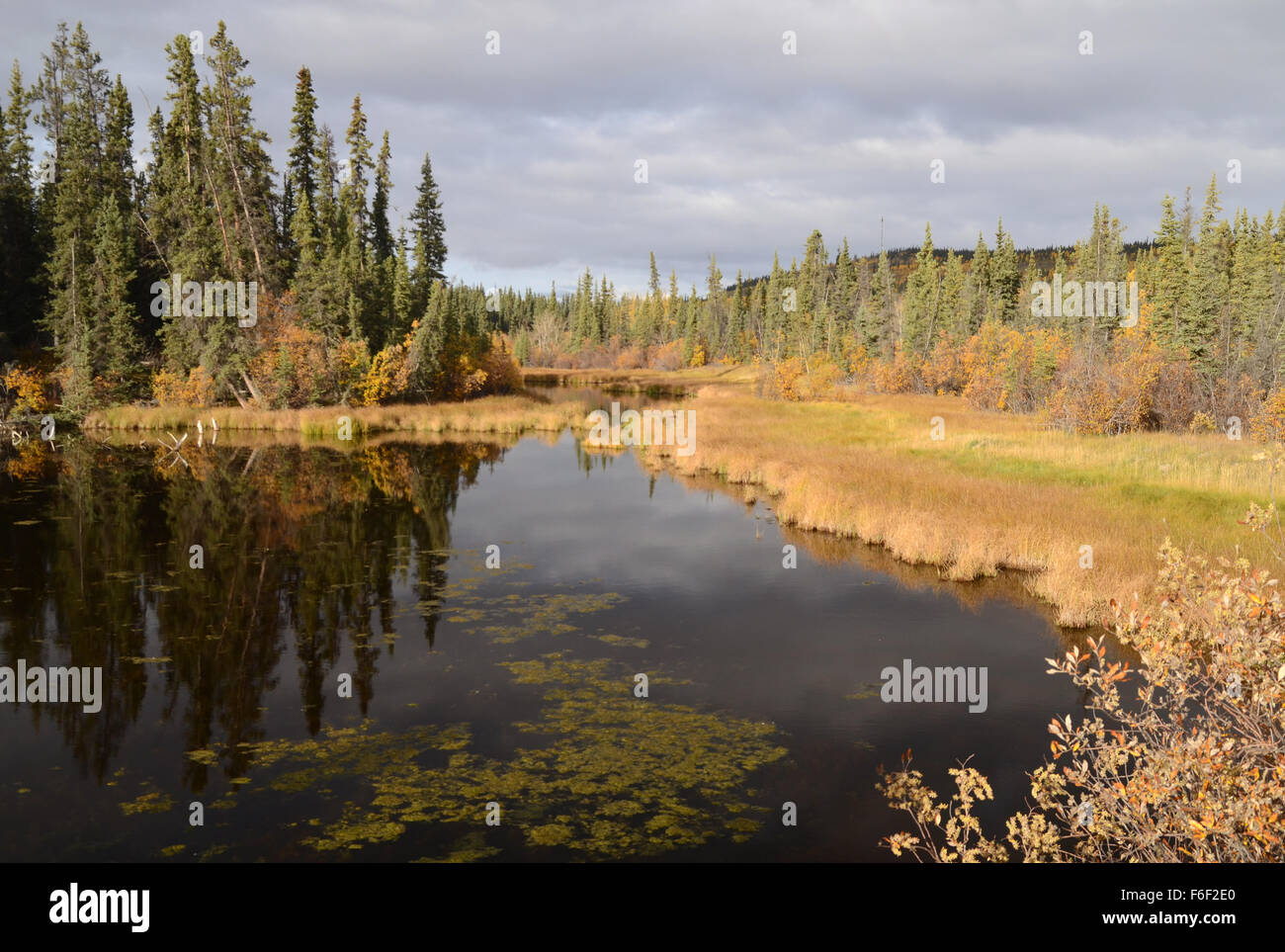 Lake in the Yukon, Canada Stock Photo - Alamy
