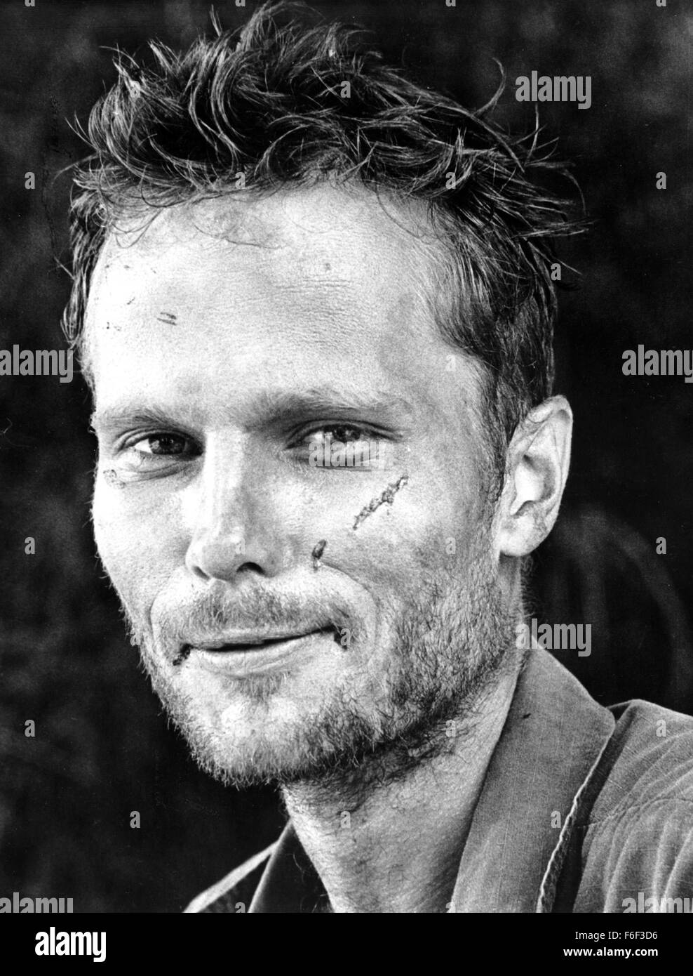 Deer hunter russian roulette Black and White Stock Photos & Images - Alamy