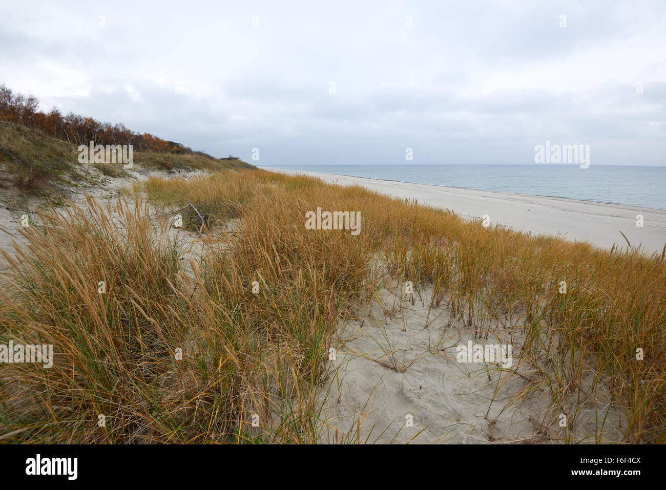 Curonian spit baltic dune in hi-res stock photography and images - Alamy
