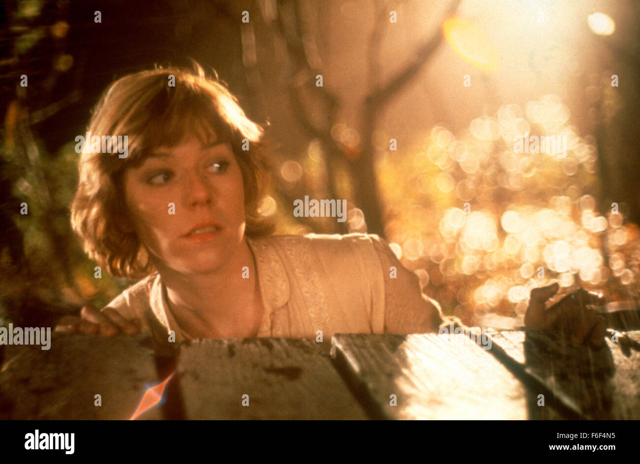 Friday the 13th 1980 hi-res stock photography and images - Alamy