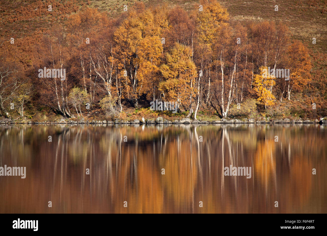 Area of Loch Ness, Scotland. Picturesque autumnal view of Loch Tarff ...