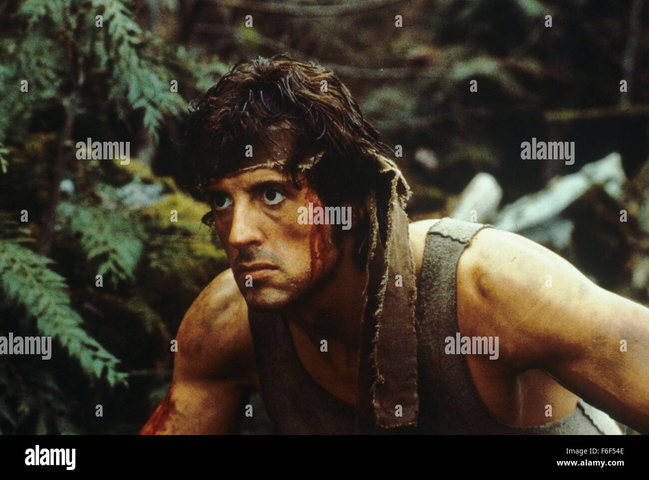 Rambo first blood 1982 hi-res stock photography and images - Alamy