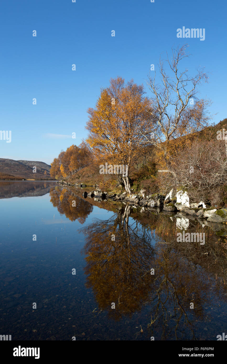 Area of Loch Ness, Scotland. Picturesque autumnal view of Loch Tarff ...